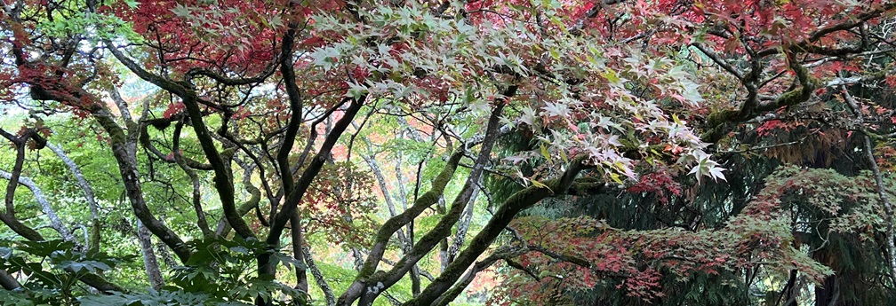 History of Redeemer CSI Church